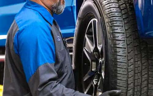 Contact Our Service Department | Shelton Ford