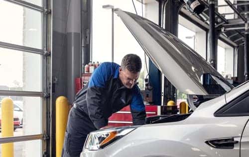 Contact Our Service Department | Shelton Ford