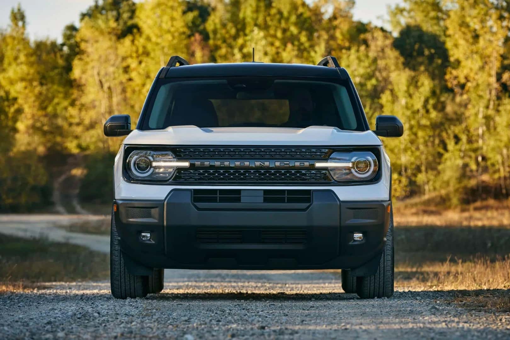 Introducing the Bronze Package for the 2026 Ford Bronco Sport | Diehl ...