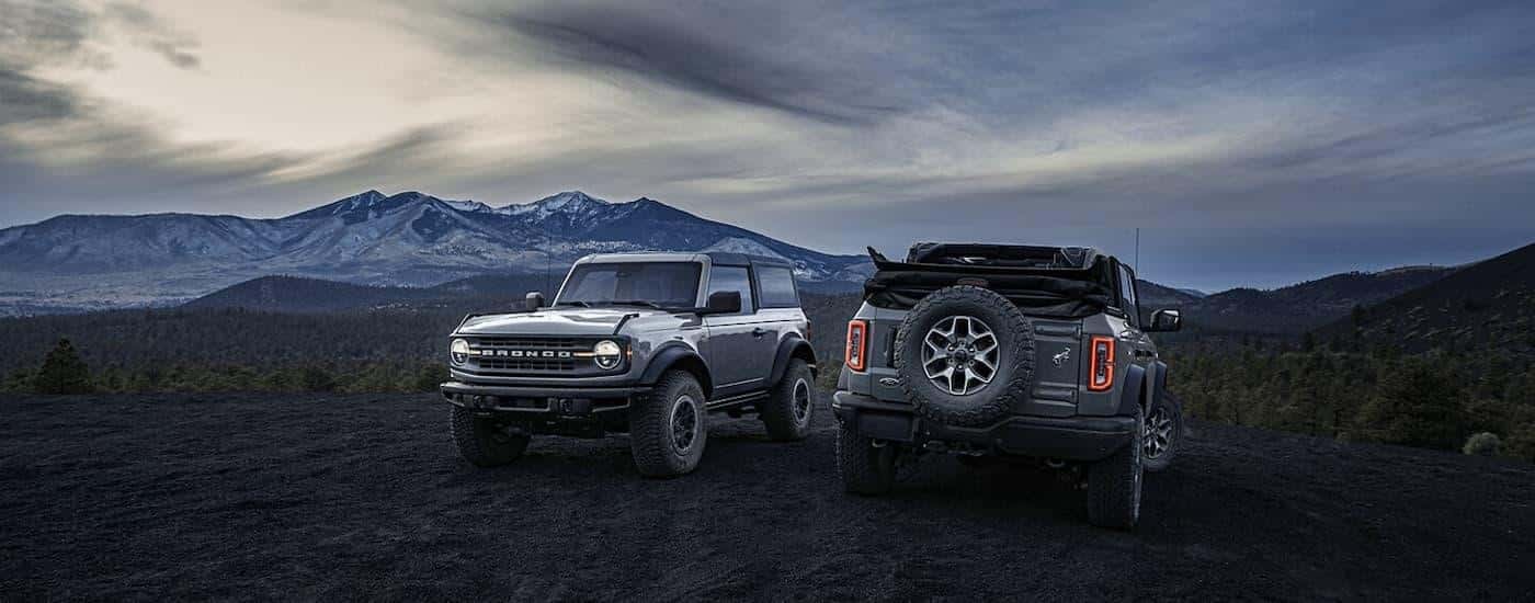 Ford Dealer Near Decatur | Cars, Trucks, and SUVs for Sale