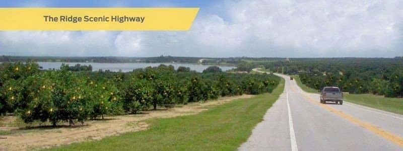 Explore Beauty: Scenic Drives in Central Florida | Mullinax Ford Blog