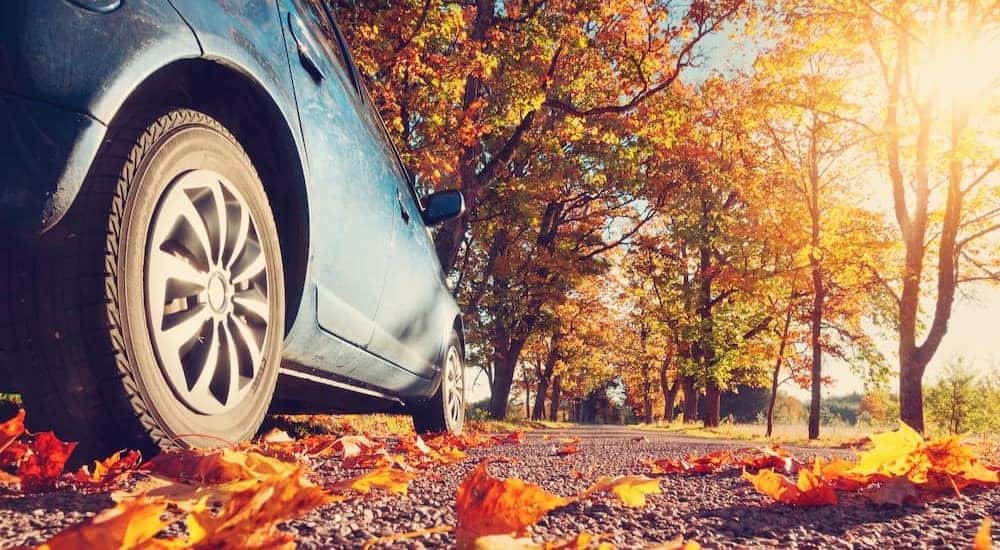 5 Fall Driving Dangers (and How to Avoid Them) | Ford Dealership