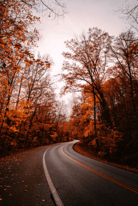 Best Fall Scenic Drives Near Macon, GA | 2025 Ford SUV Road Trips
