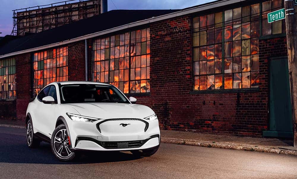 Mach-e | Stuckey Ford