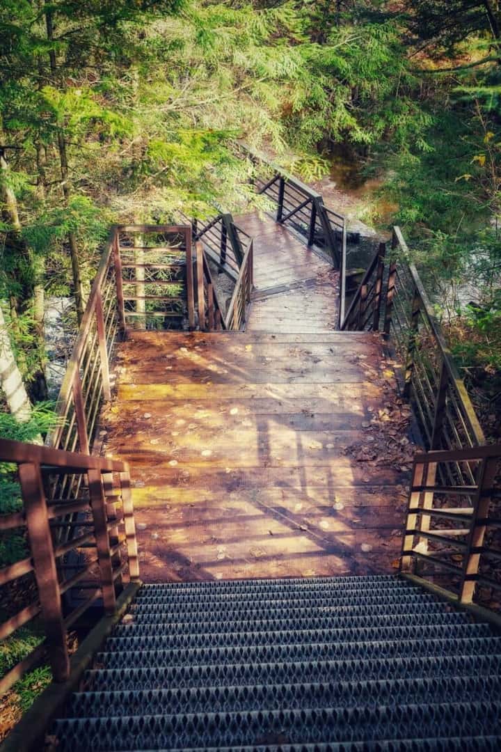 6 Best Hiking Trails in Huntsville, Alabama | Woody Anderson Ford
